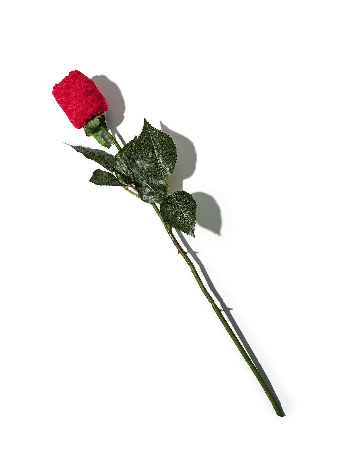 Thong Rose Bouquets: Panty Roses & Lingerie Gifts | Hanky Panky