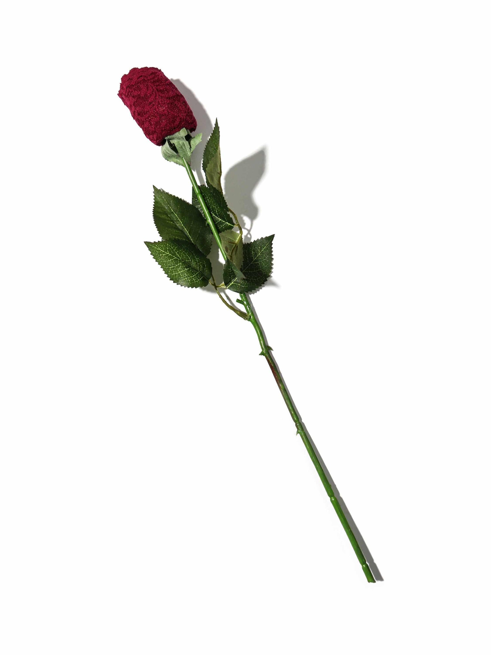 Signature Lace® Low Rise Thong Rose Dark Pomegranate Red | Hanky Panky