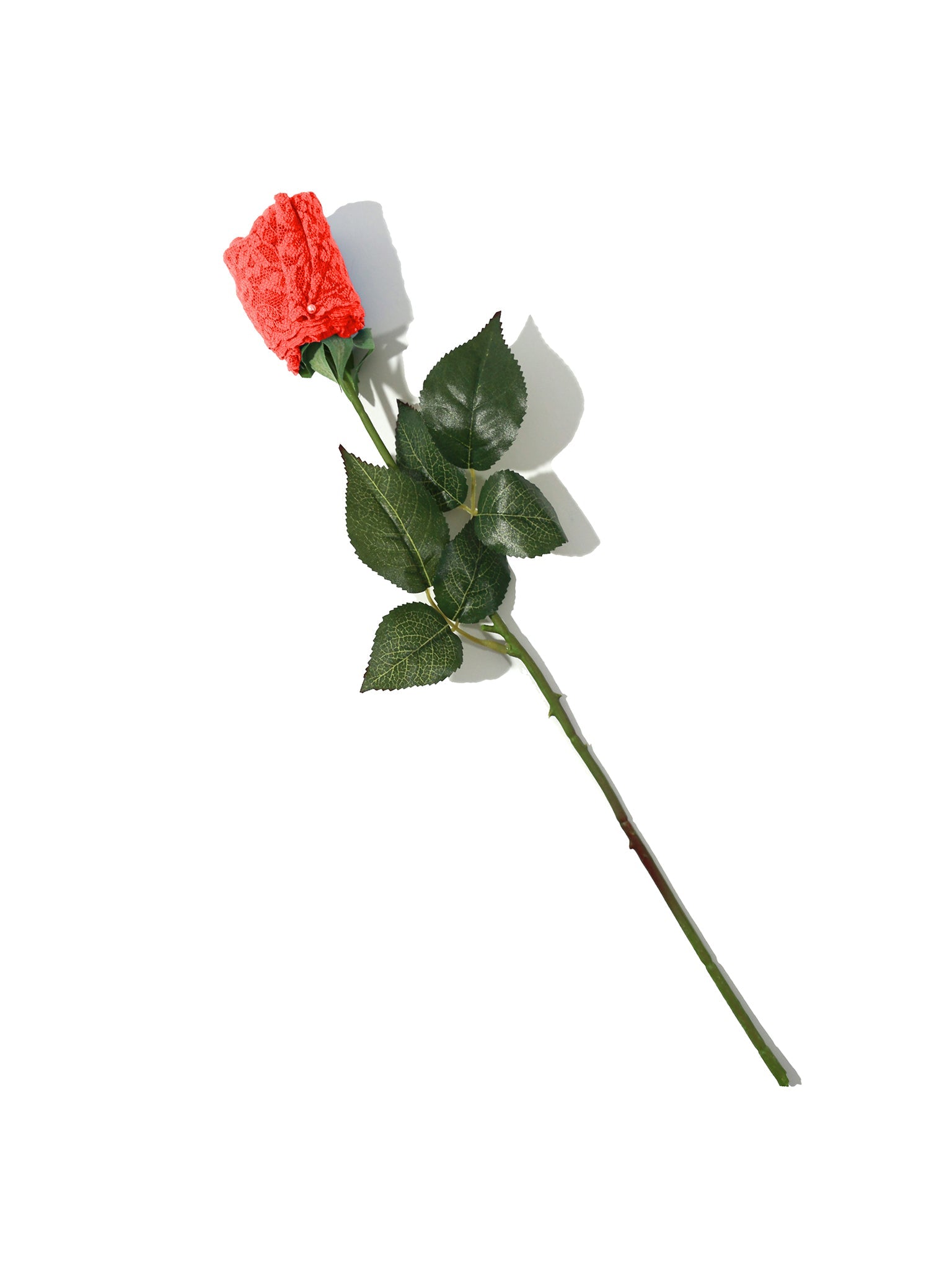 Signature Lace® Low Rise Thong Rose Hibiscus Bloom | Hanky Panky