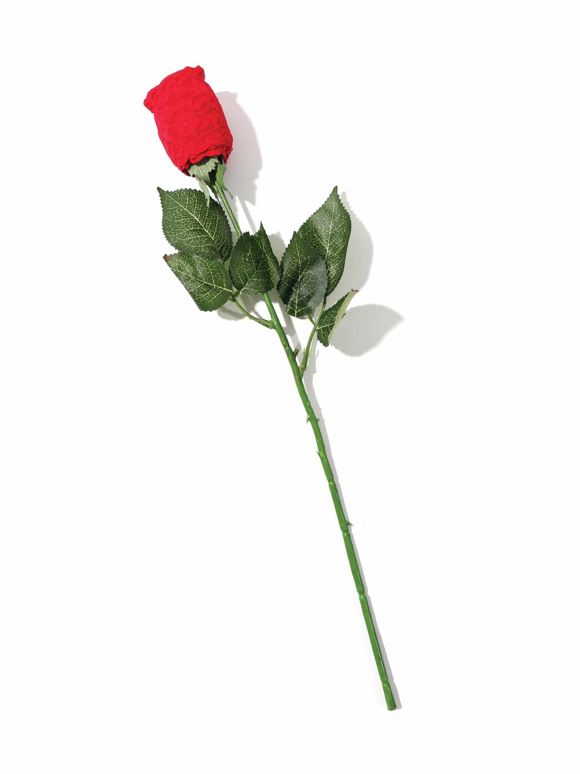 Signature Lace® Low Rise Thong Rose Red | Hanky Panky