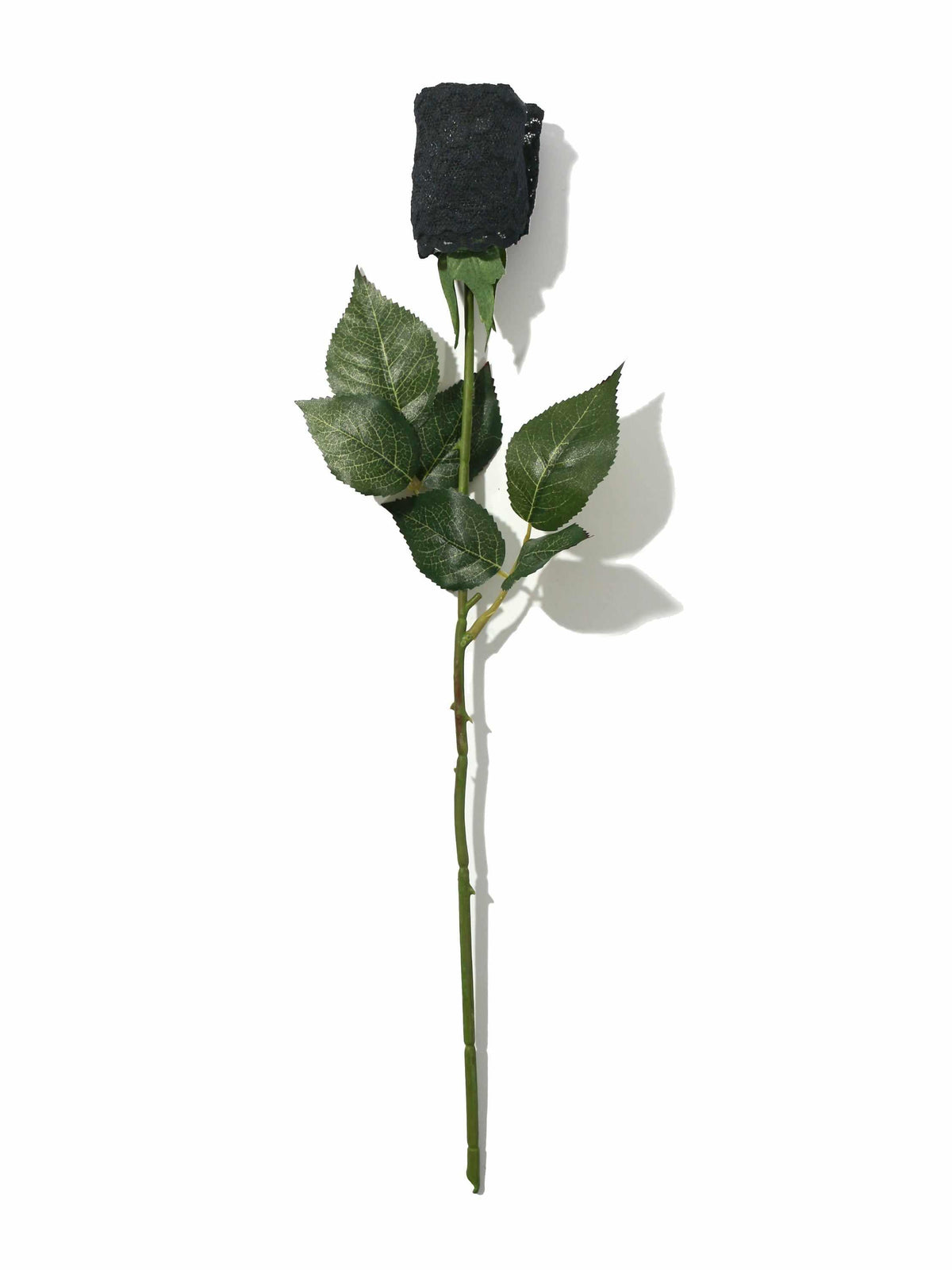 Thong Rose Bouquets: Panty Roses & Lingerie Gifts | Hanky Panky